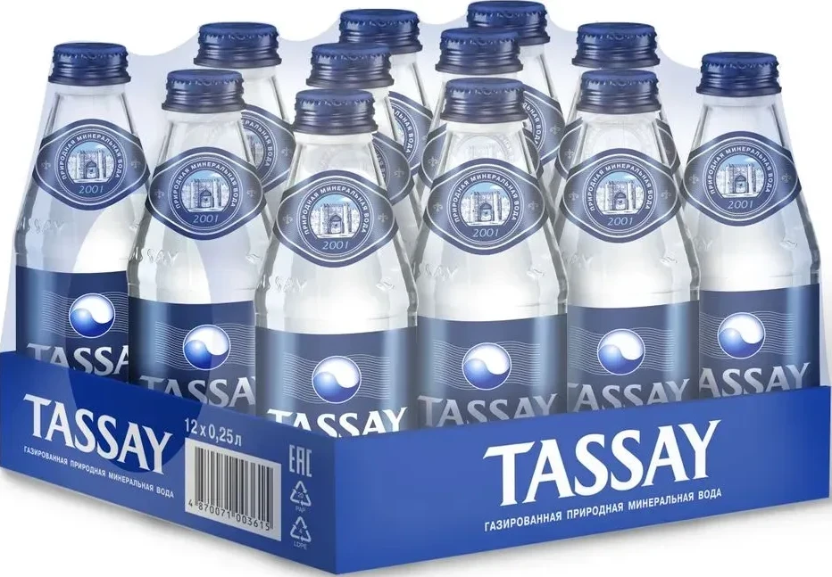 TASSAY газ 0,25л./12шт. Стекло TASSAY Минеральная лечебно-столовая вода Казахстан