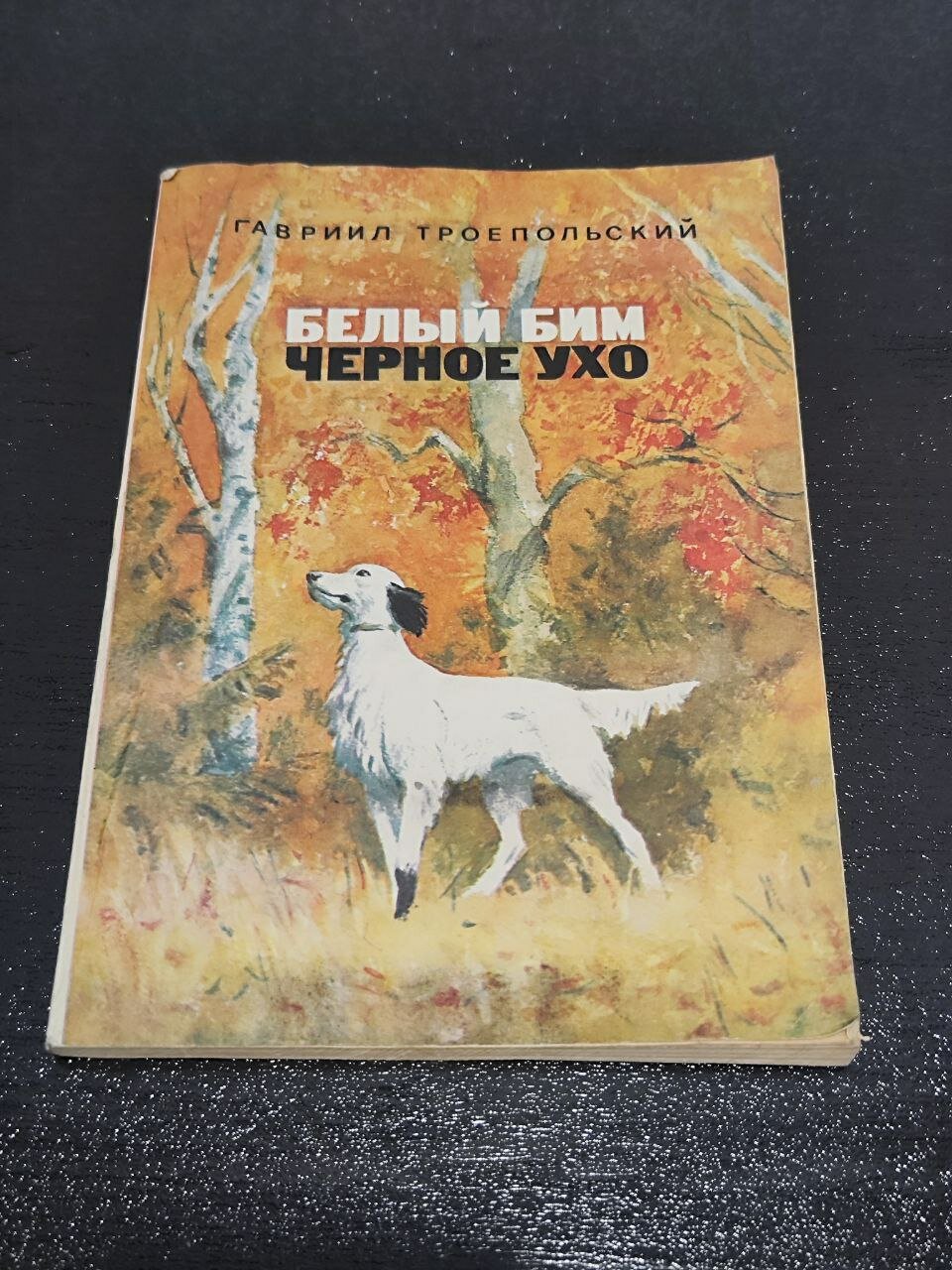 Белый Бим, черное ухо