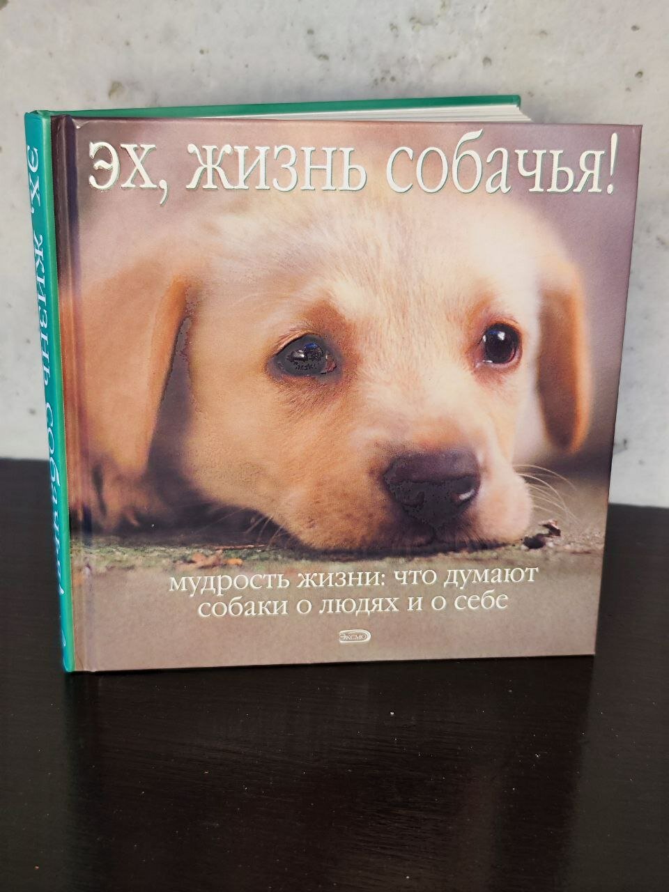 Эх, жизнь собачья! Мудрость жизни: что думают собаки о людях и о себе.