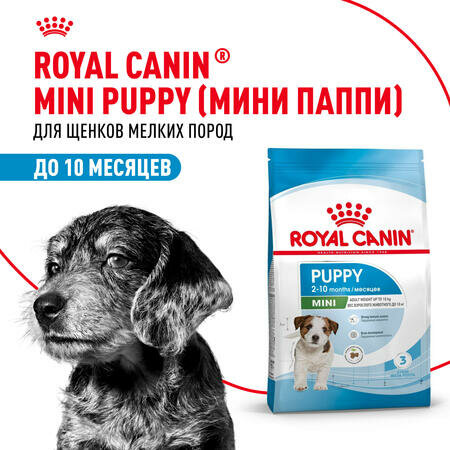ROYAL CANIN MINI PUPPY корм для щенков мелких пород с 2 до 10 месяцев