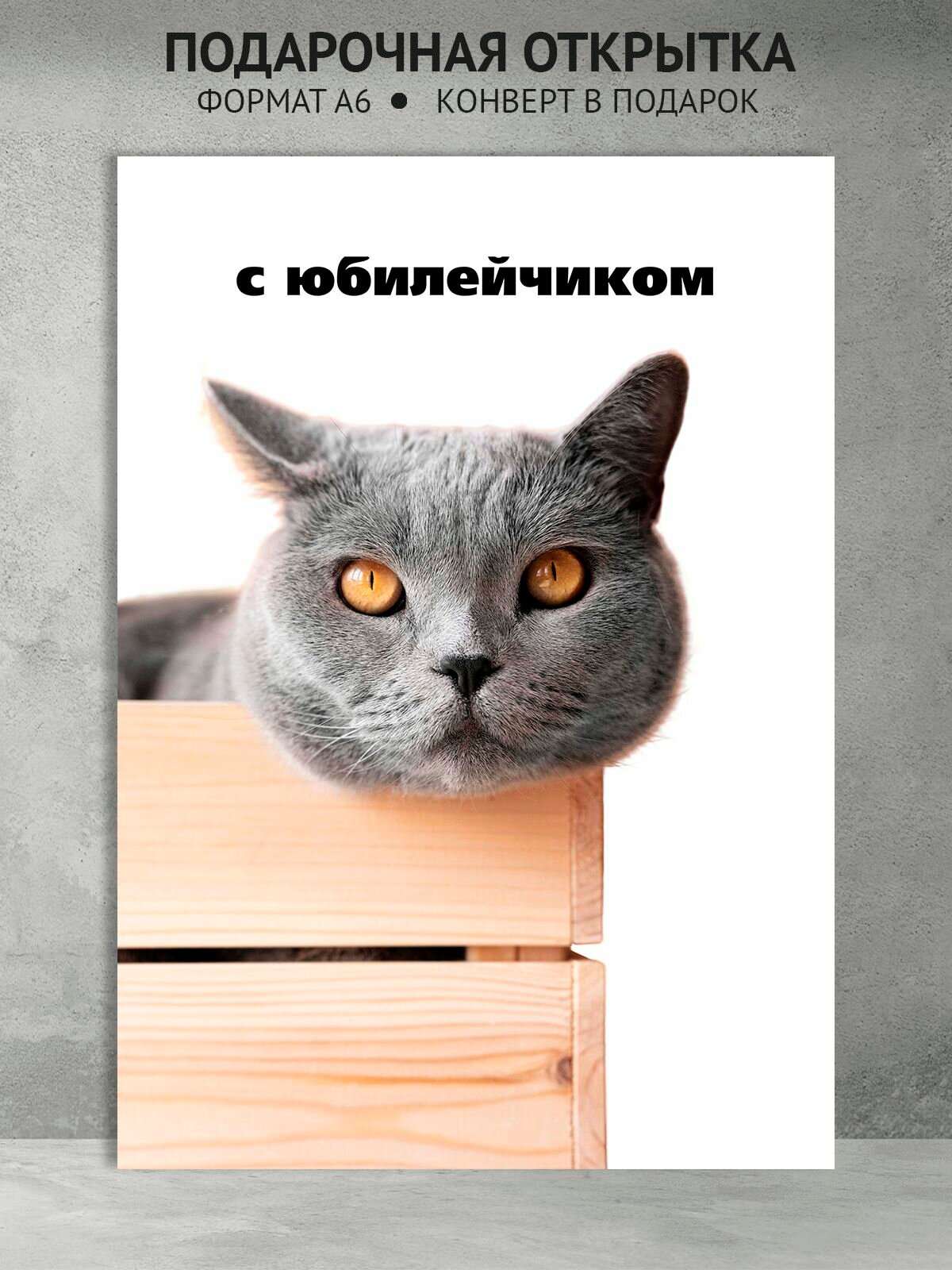 Подарочная открытка с уникальной иллюстрацией котик "С юбилейчиком" с днем рождения, с юбилеем