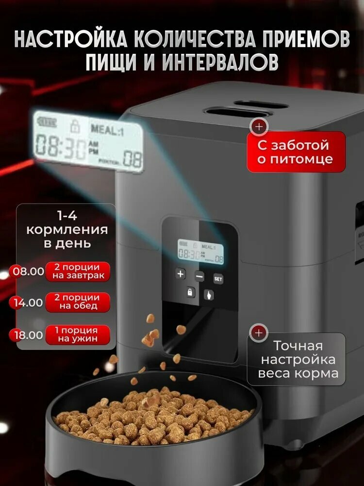 Автокормушка — фото 1
