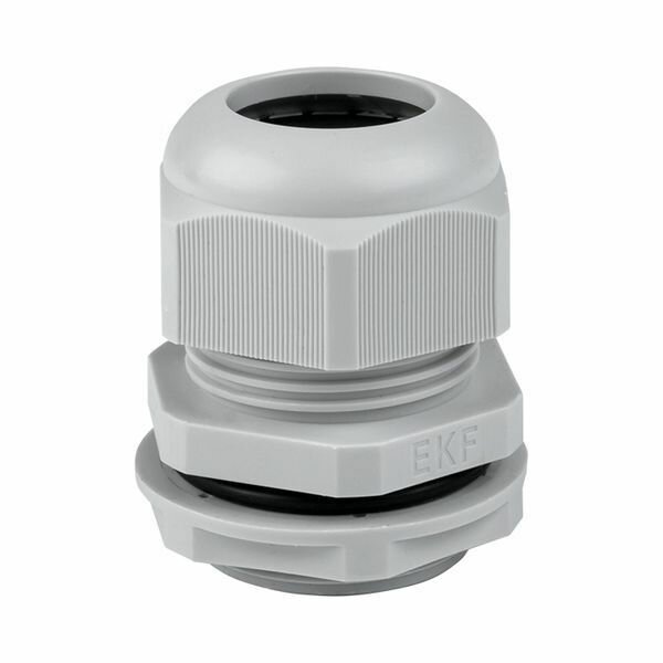 Сальник PG25 d16-21мм (d отверст. 31мм) IP54 PROxima EKF plc-pg-25-r