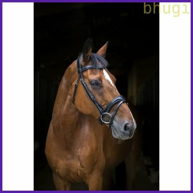 2026Уздечка для лошади ERIC THOMAS PRO "WAVE", Cob (EKKIA, Франция)