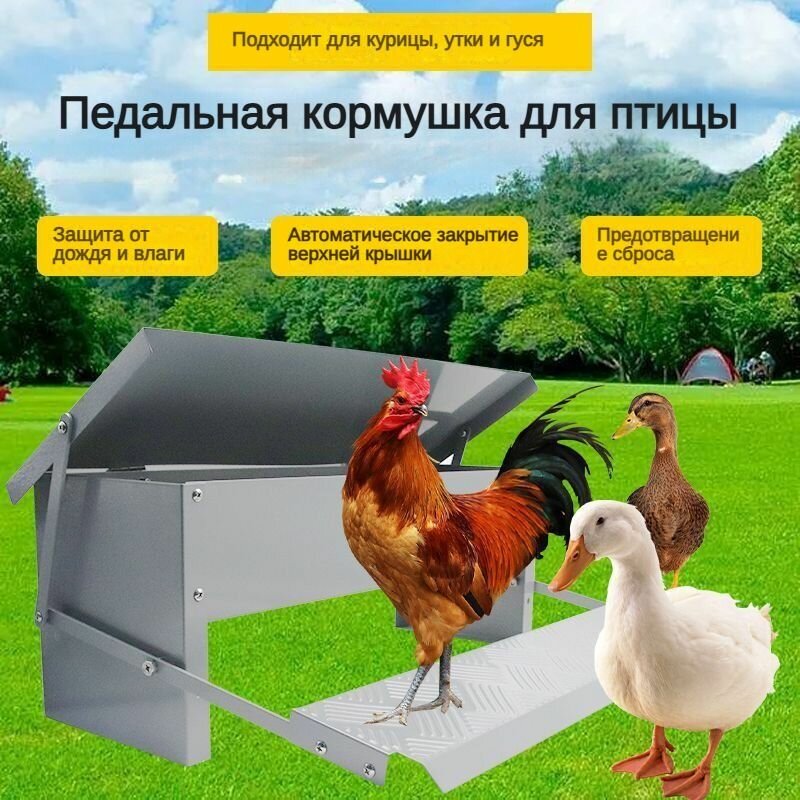 Кормушка для кур с педалью, с защитная от дождя и влаги