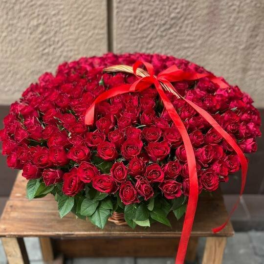 Монобукет "Большая корзина красных роз", 201 шт, 60см, для любого повода