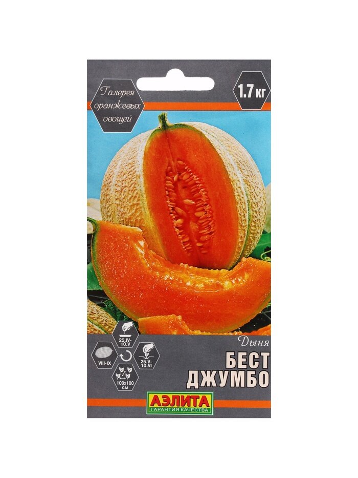 Набор семян Дыня "Бест Джумбо", 5 шт.
