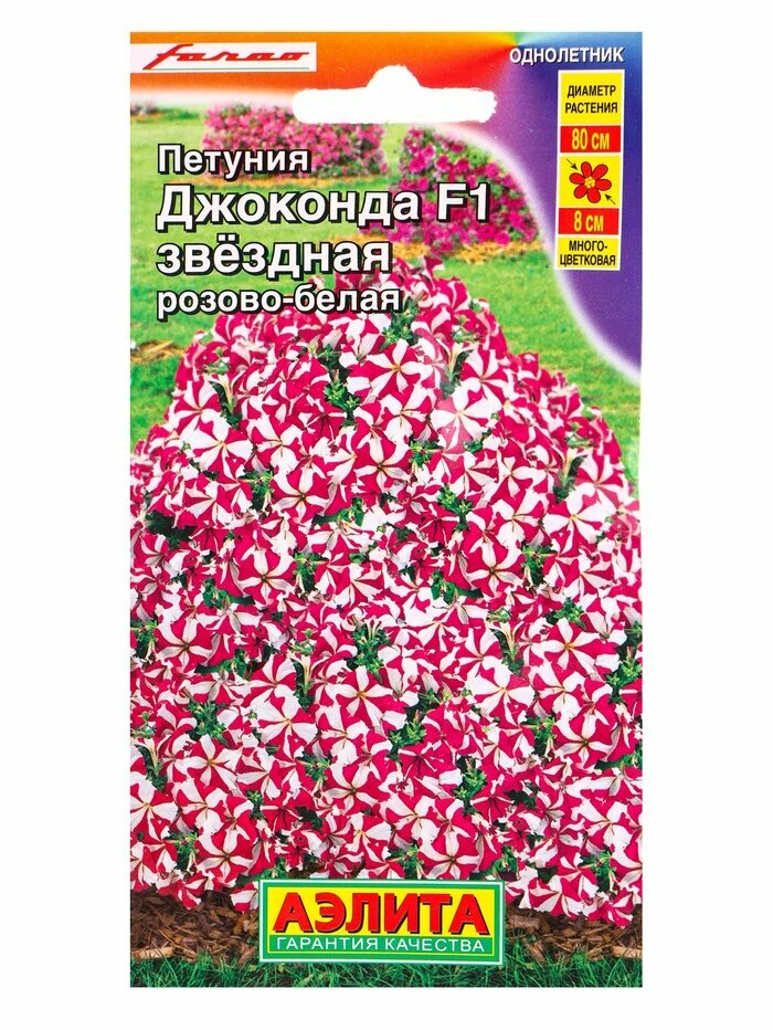 Семена цветов Петуния Джоконда F1 звездная розово-белая (драже в пробирке) С. Farao, Ц/П,5 шт. 1094