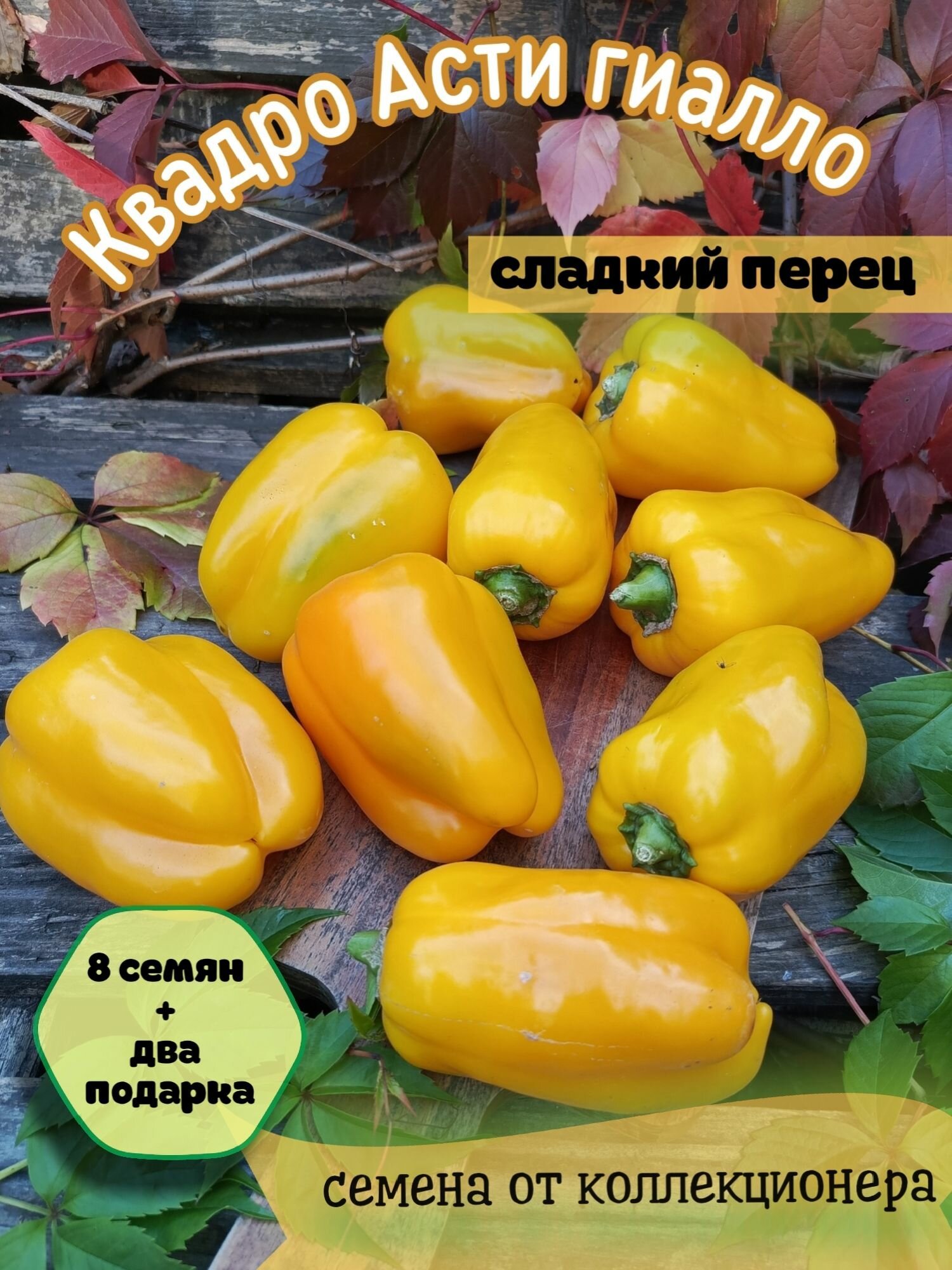 Перец сладкий "Квадро Асти гиалло", селекция Италии