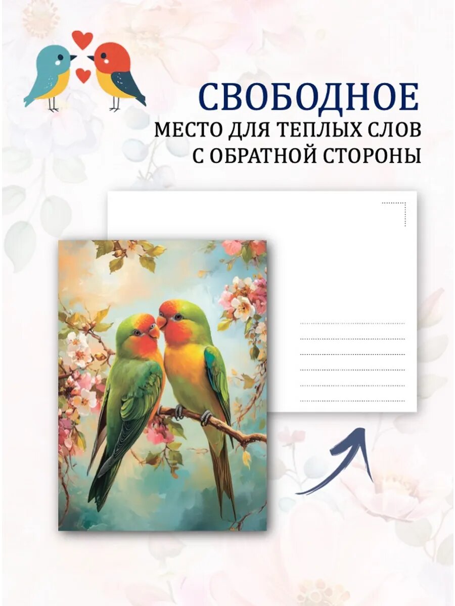 А6 Открытки попугаи — фото 1
