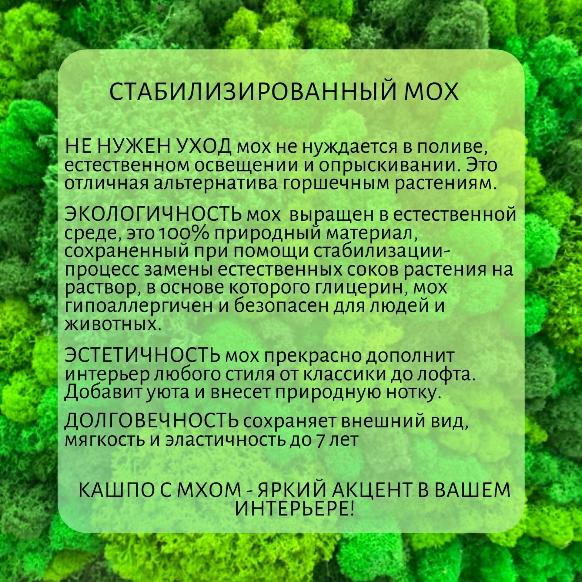 Интерьерное украшение — фото 1