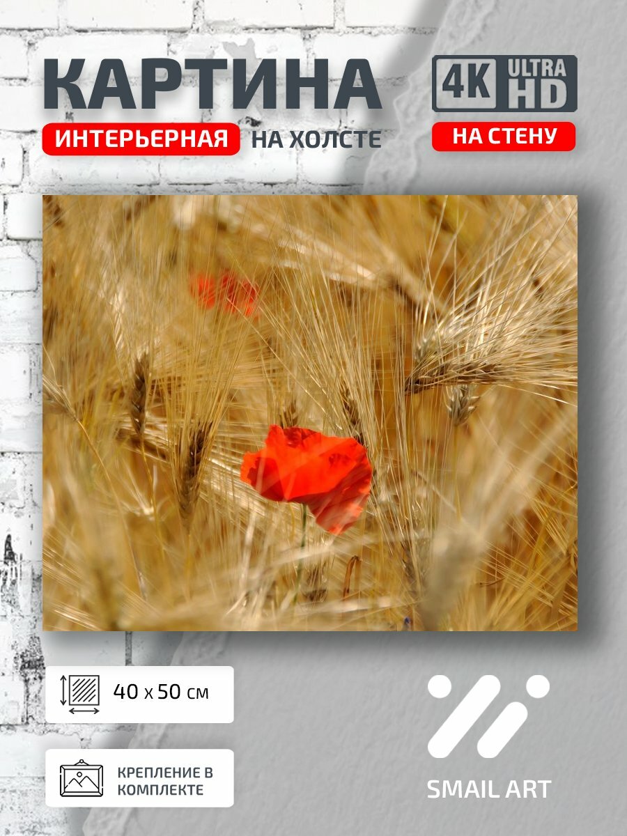 Картина на холсте интерьерная 40 на 50 на стену Поле Landscape для кафе пейзаж интерьер