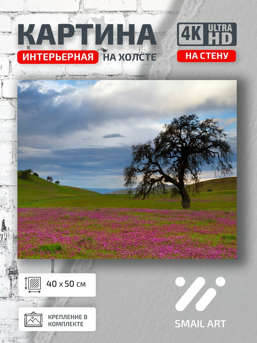 Картина на холсте интерьерная 40 на 50 на стену Поляне Landscape для кафе пейзаж интерьер