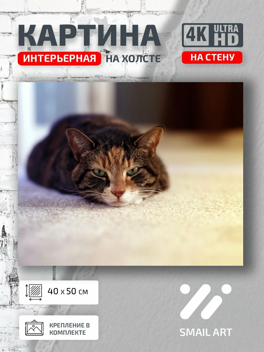 Картина на холсте интерьерная 40 на 50 на стену Кот Animal для кабинета animal style декор