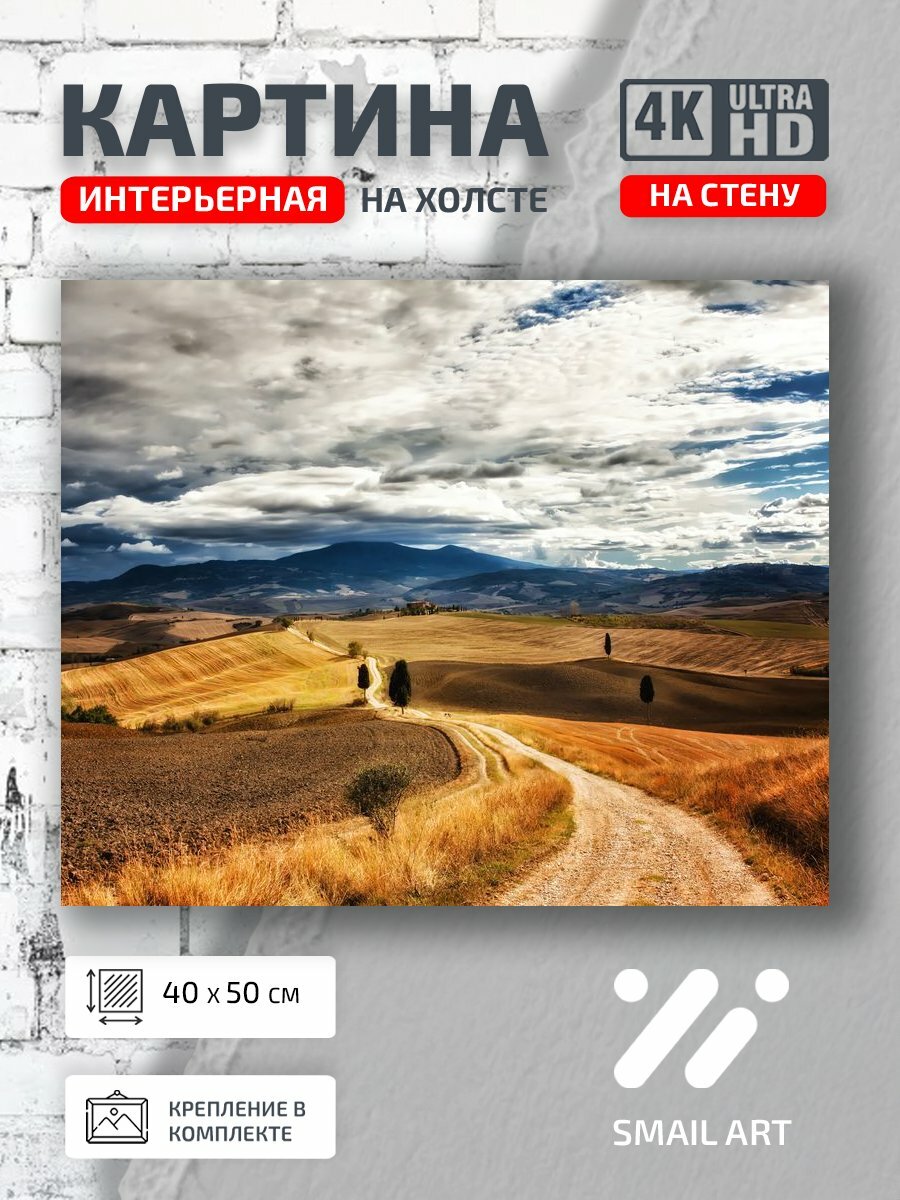 Картина на холсте интерьерная 40 на 50 на стену Степь Landscape для офиса пейзаж интерьер