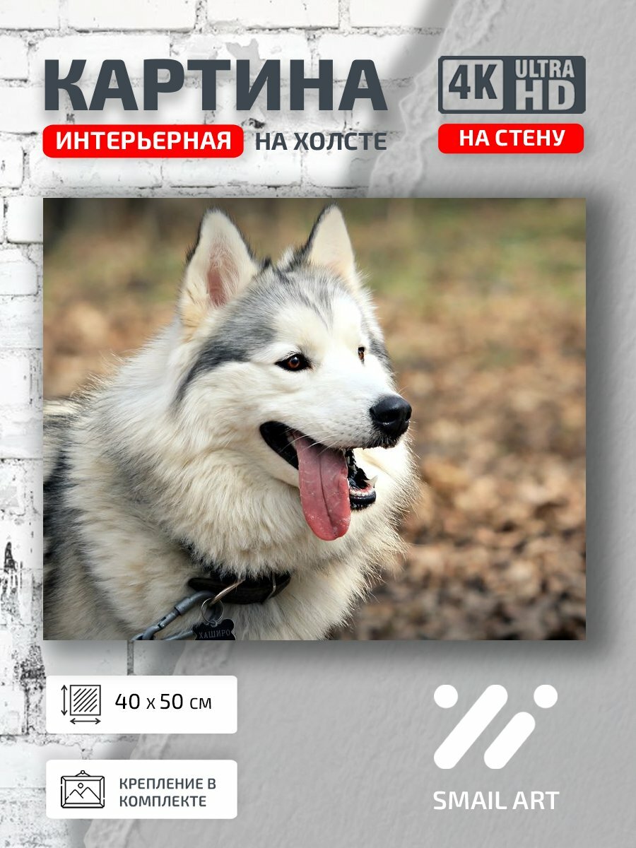 Картина на холсте интерьерная 40 на 50 на стену Собака Landscape для спальни пейзаж декор