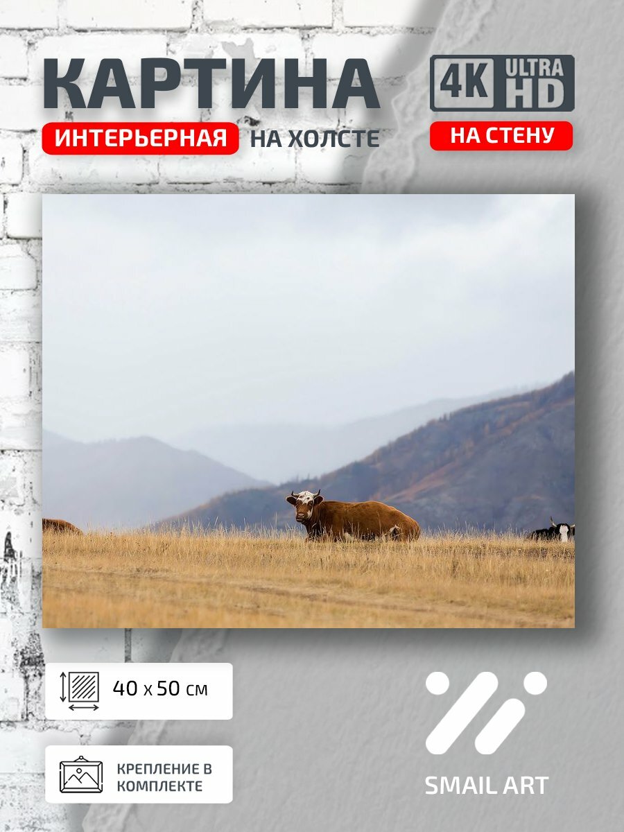 Картина на холсте интерьерная 40 на 50 на стену Коровы Landscape для кабинета пейзаж декор