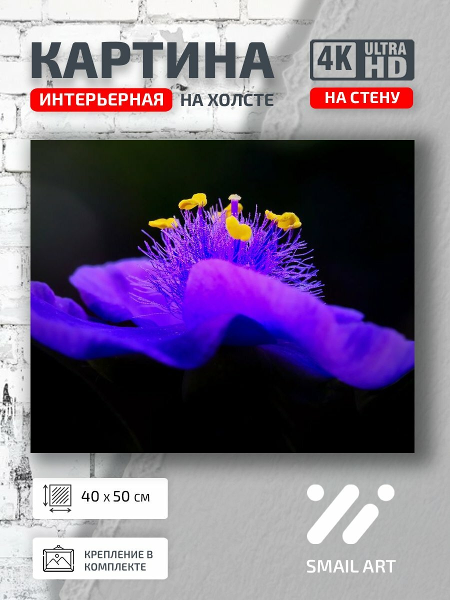 Картина на холсте интерьерная 40 на 50 на стену Фиолетовый Landscape для кафе пейзаж декор