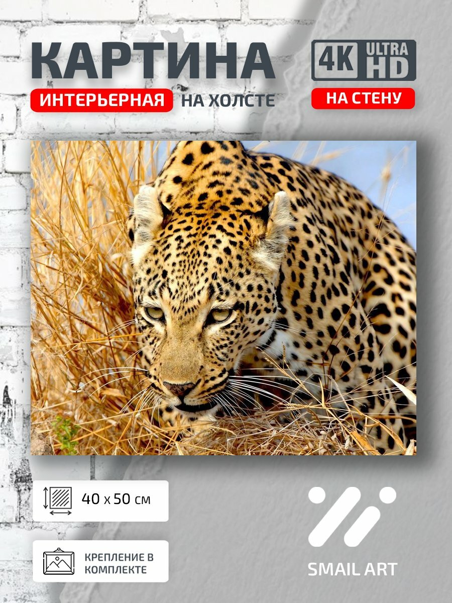 Картина на холсте интерьерная 40 на 50 на стену Леопард Mood для спальни атмосфера интерьер