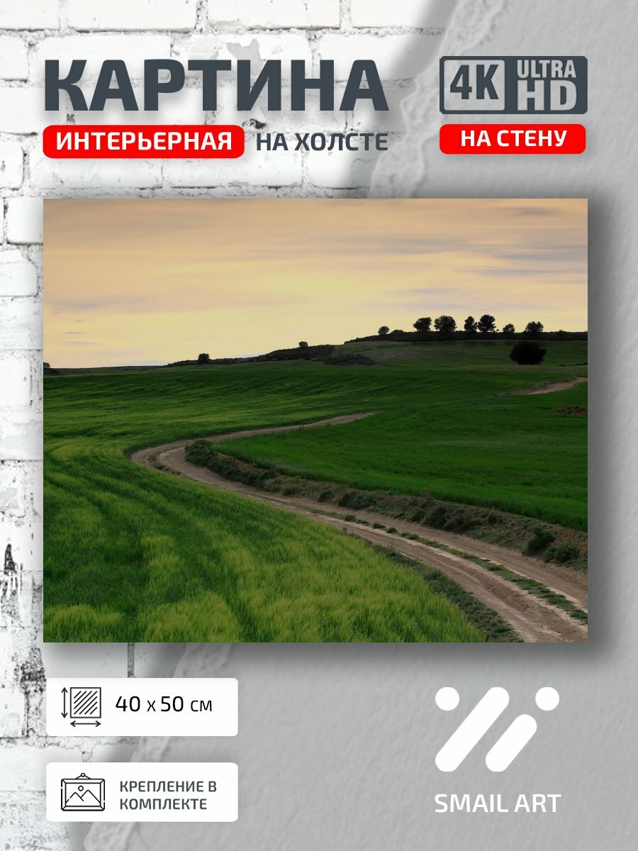 Картина на холсте интерьерная 40 на 50 на стену Поле Landscape для кафе пейзаж интерьер