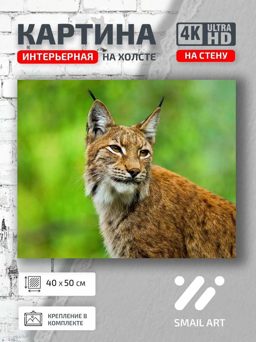 Картина на холсте интерьерная 40 на 50 на стену Фоне Mood для кабинета атмосфера интерьер