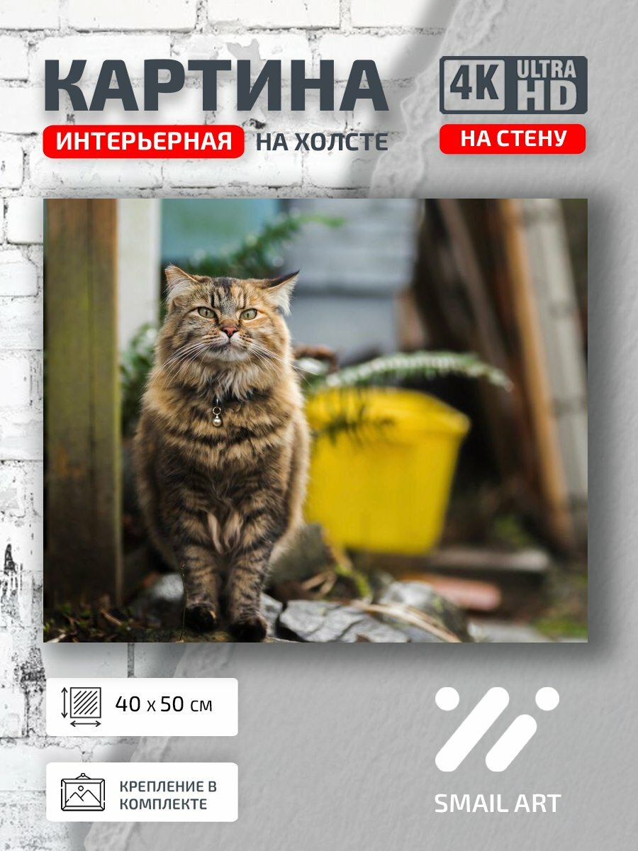 Картина на холсте интерьерная 40 на 50 на стену Лапки Animal для кабинета animal style