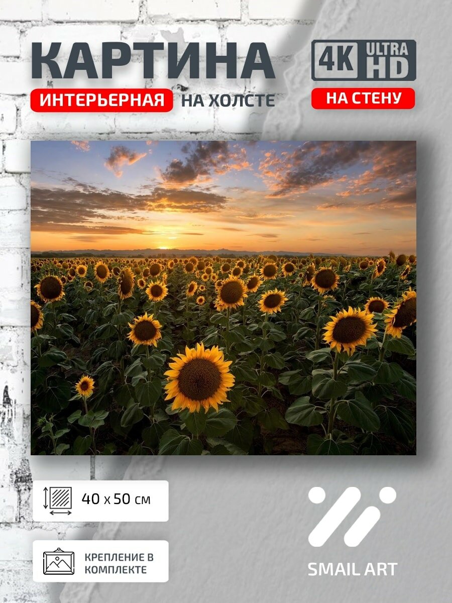 Картина на холсте интерьерная 40 на 50 на стену Природа поле для кабинета пейзаж