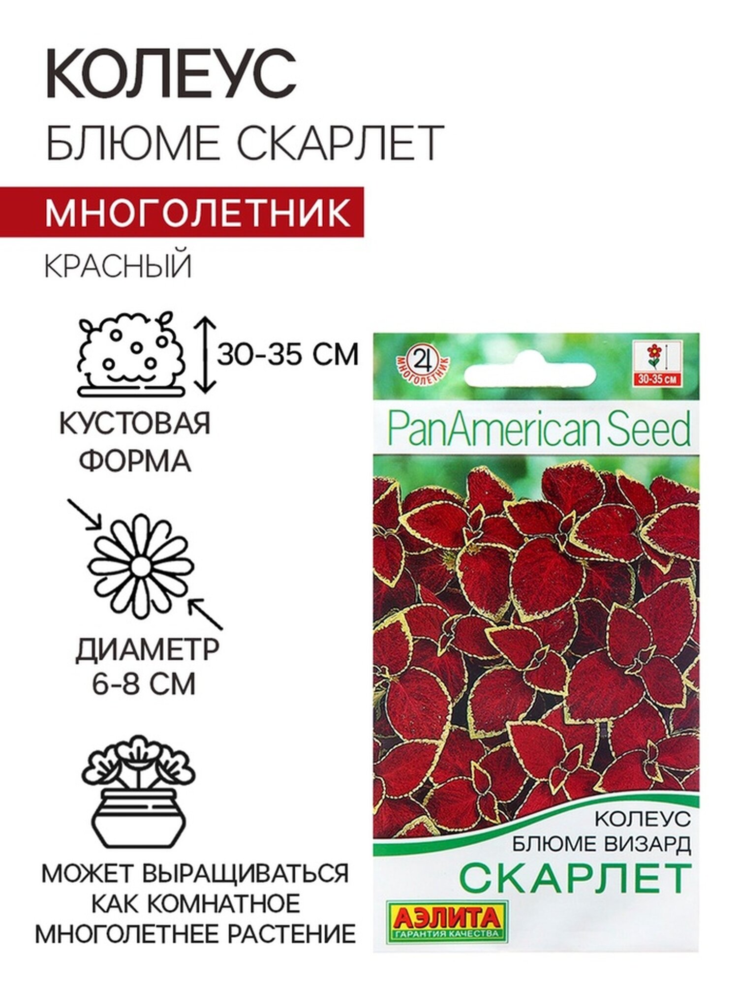 Семена Колеус блюме Скарлет Мн Сел. PanAmerican Золотая серия Ц/П 5 шт 10221163