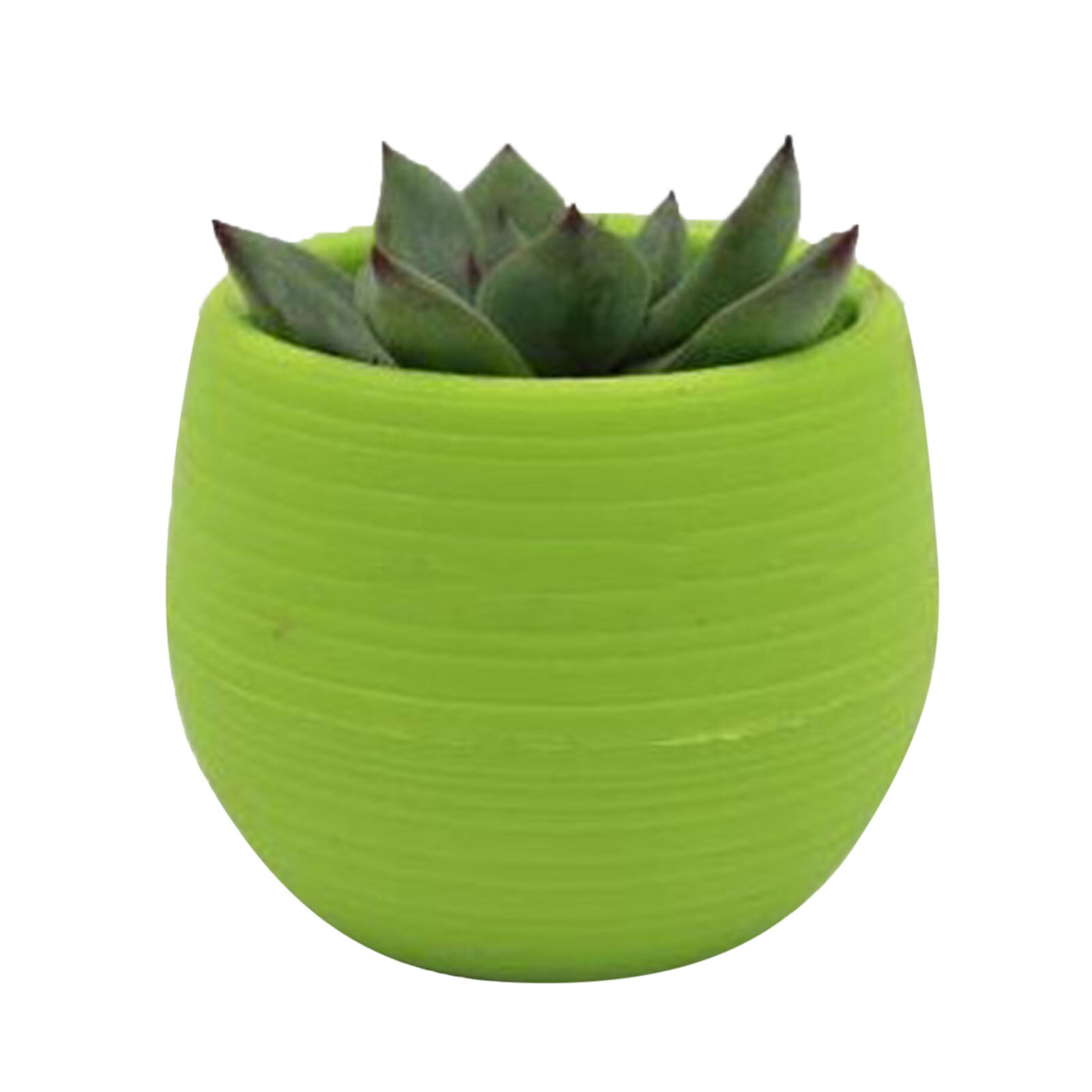 Сочный горшок мини -сажан -контейнер пластиковый цветочный горшок для садового двора балконгрин