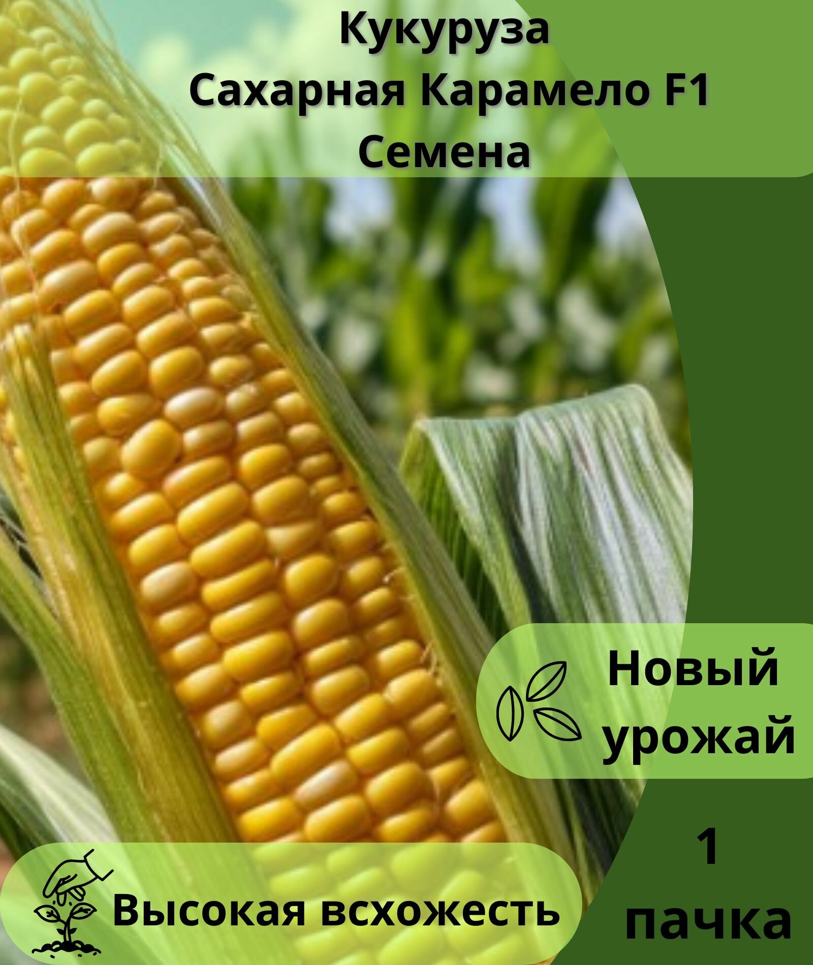 Кукуруза сахарная "Карамело", семена 10шт