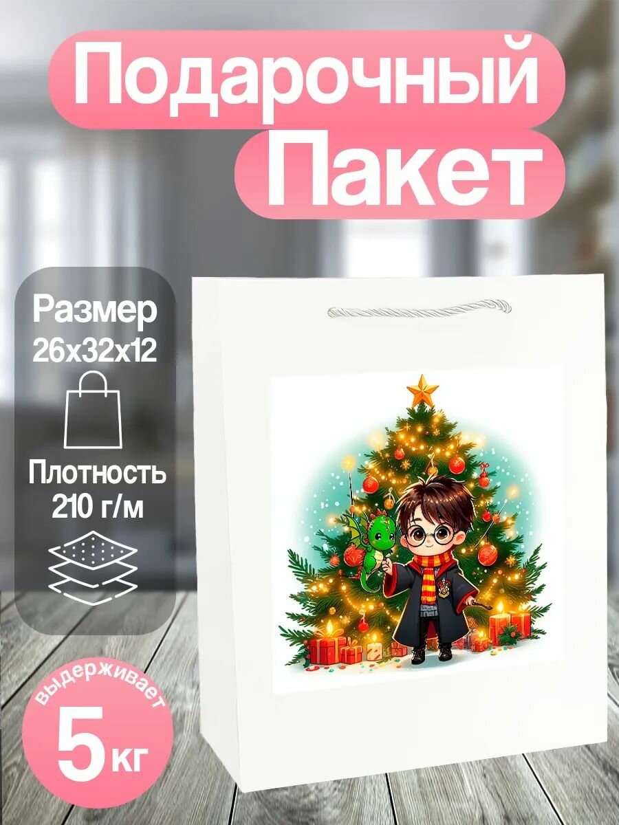 Пакет новогодний подарочный Гарри Поттер