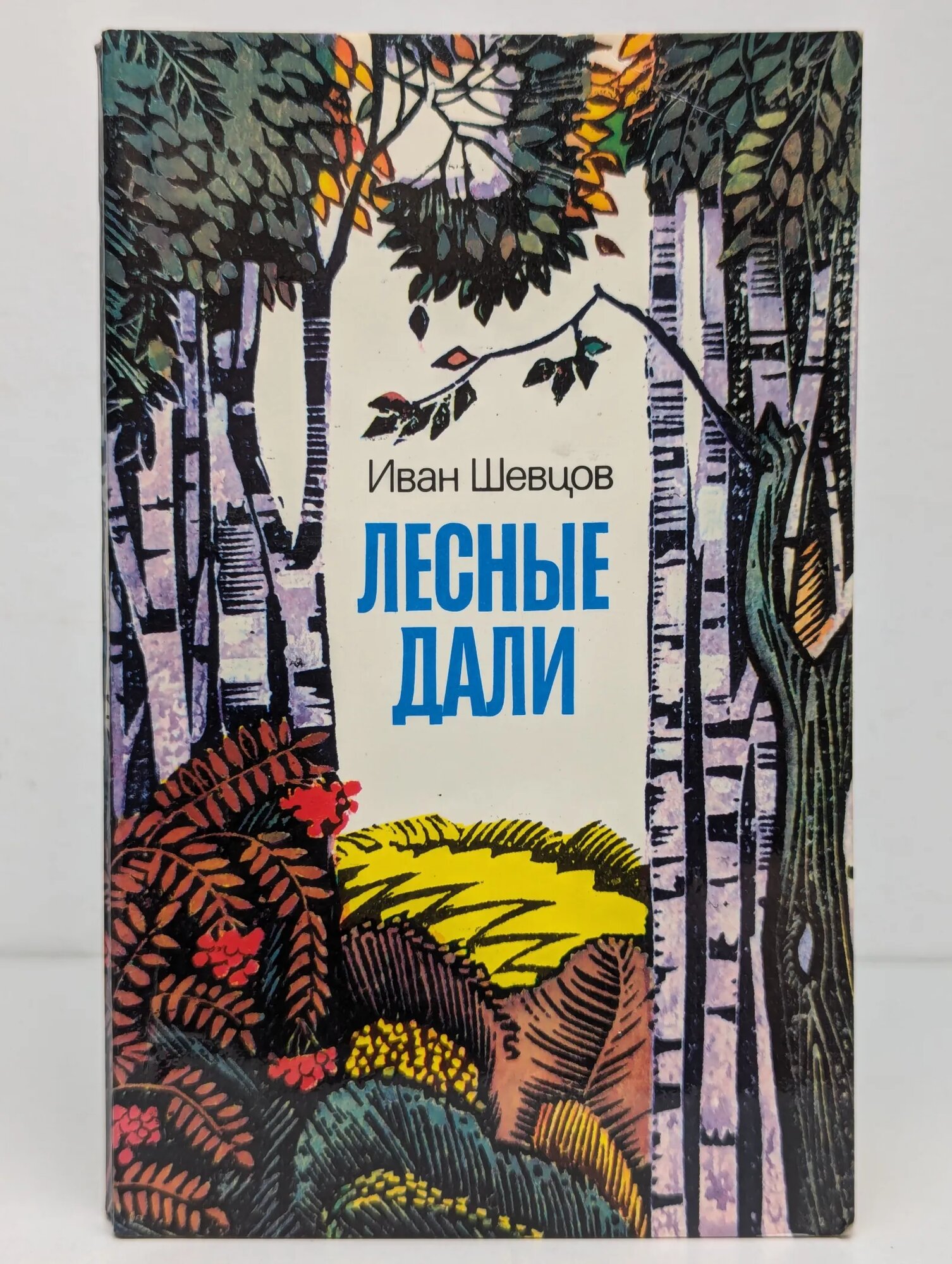 Лесные дали Шевцов Иван Михайлович 1978