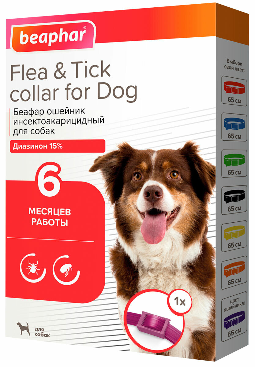 BEAPHAR – Беафар ошейник для собак против блох и клещей, фиолетовый 65 см (1 шт)