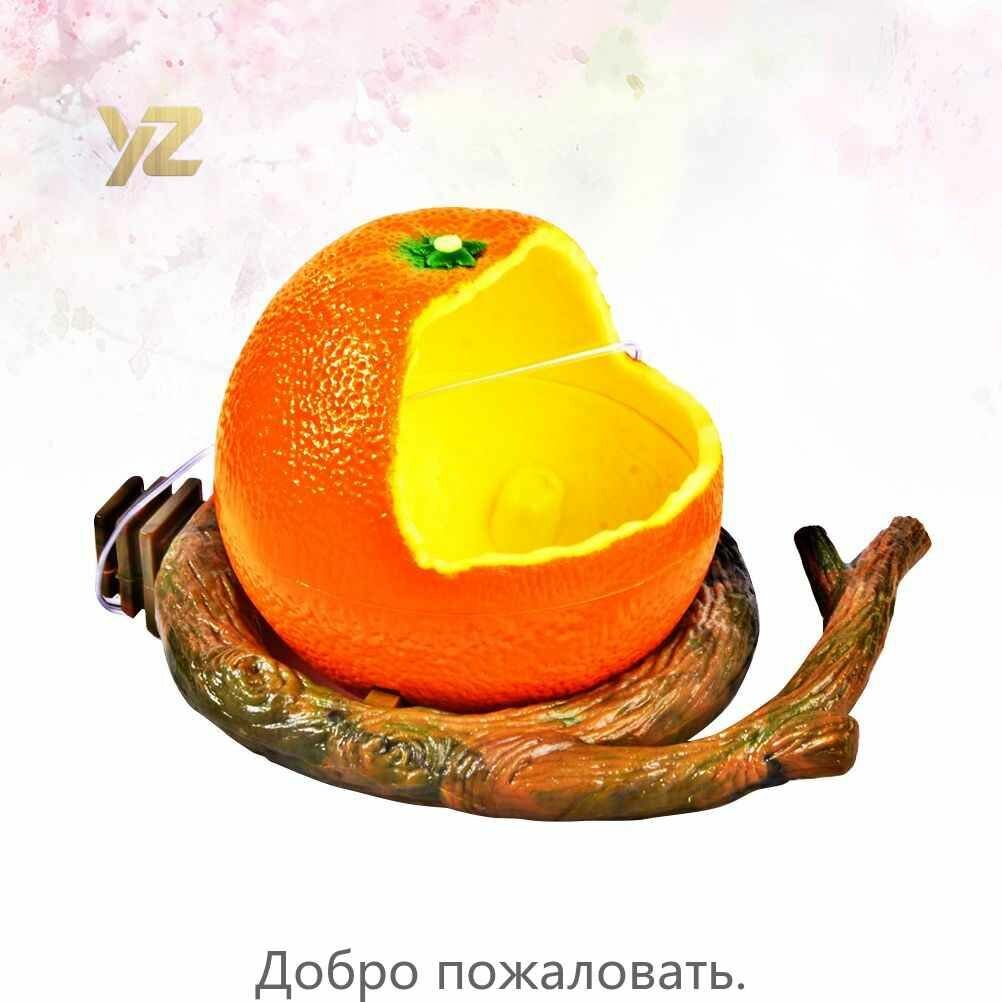 Креативная Кормушка Оранжевого Цвета, Для Клеток Птиц, Из Пп Материала, 1 Шт