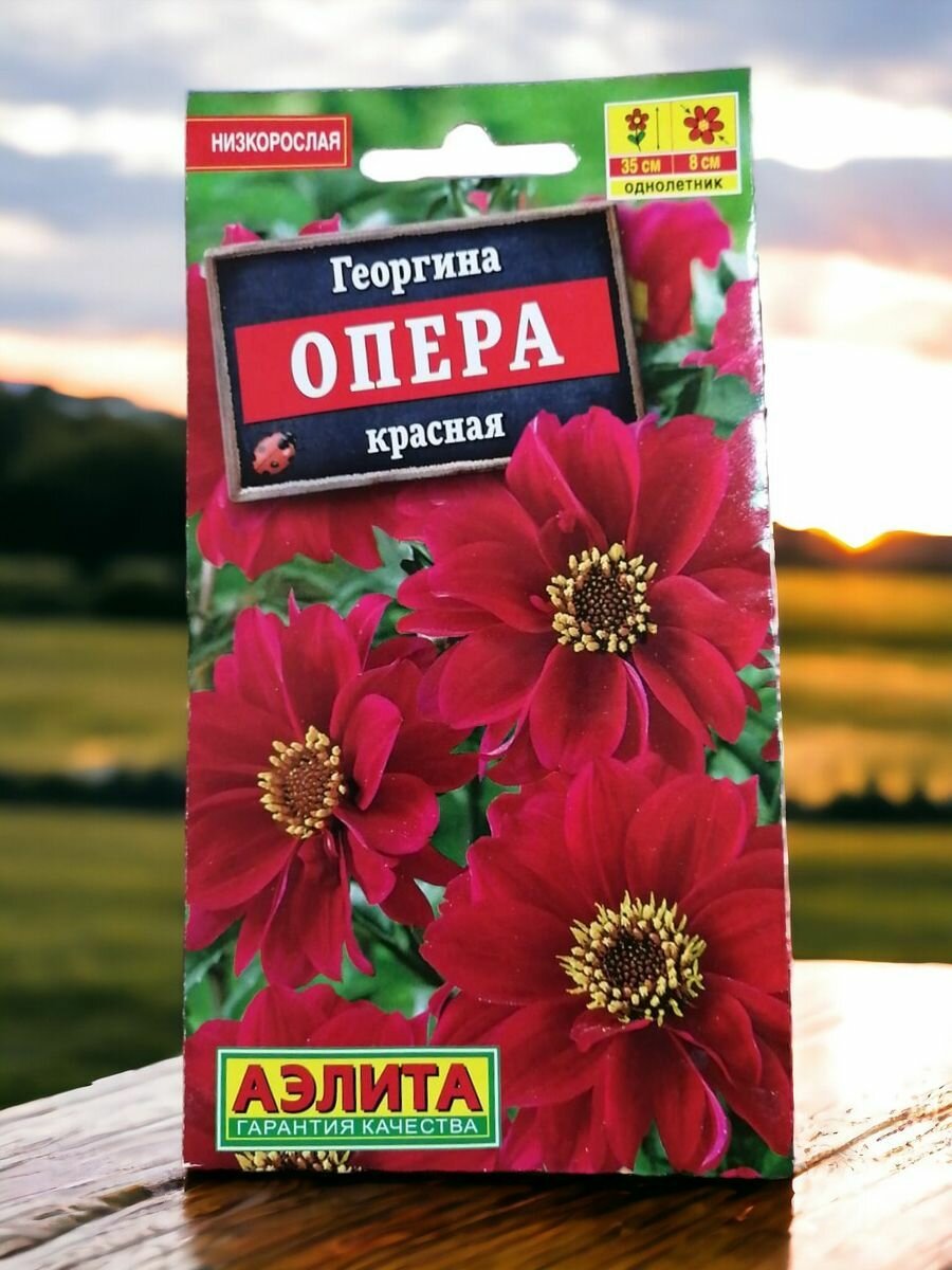 Георгина Опера красная цв. п 7 семян Аэлита