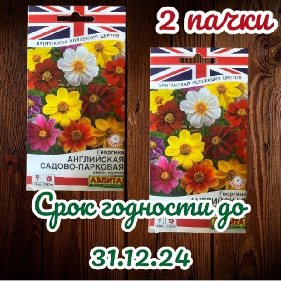 Георгина Английская садово-парковая смесь 0,3г, 2 пачки