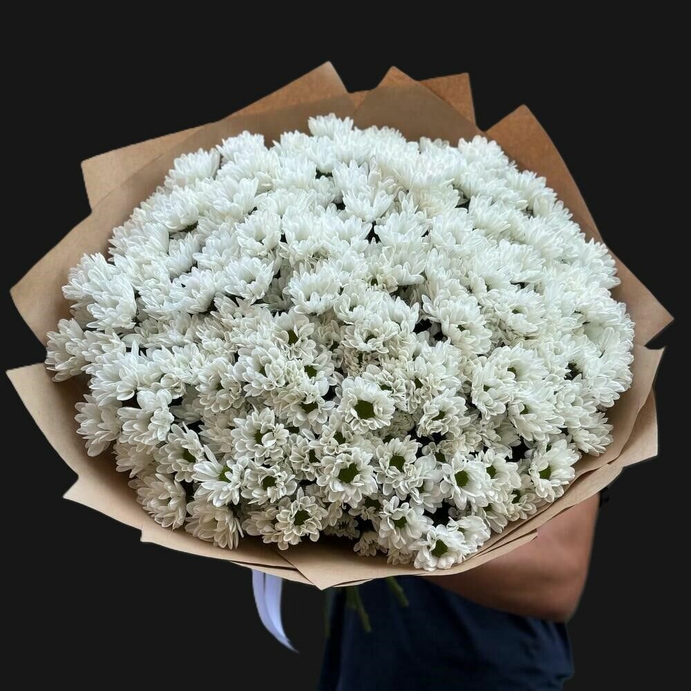 25 белых кустовых хризантем