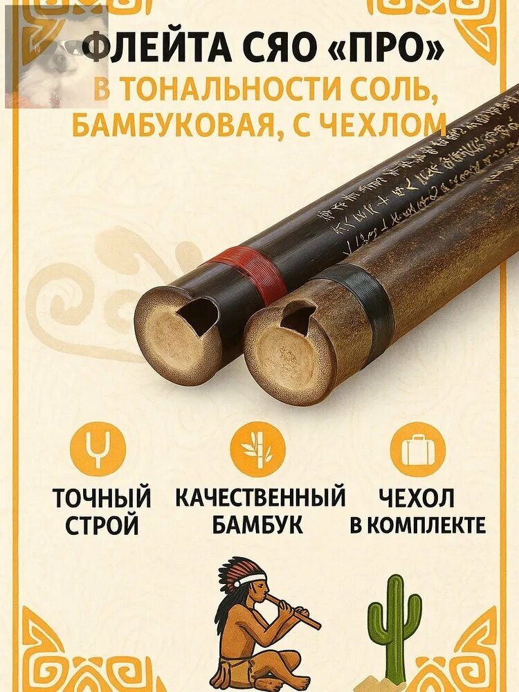 Флейта Сяо Про в тональности Соль, бамбуковая, с чехлом,1 шт