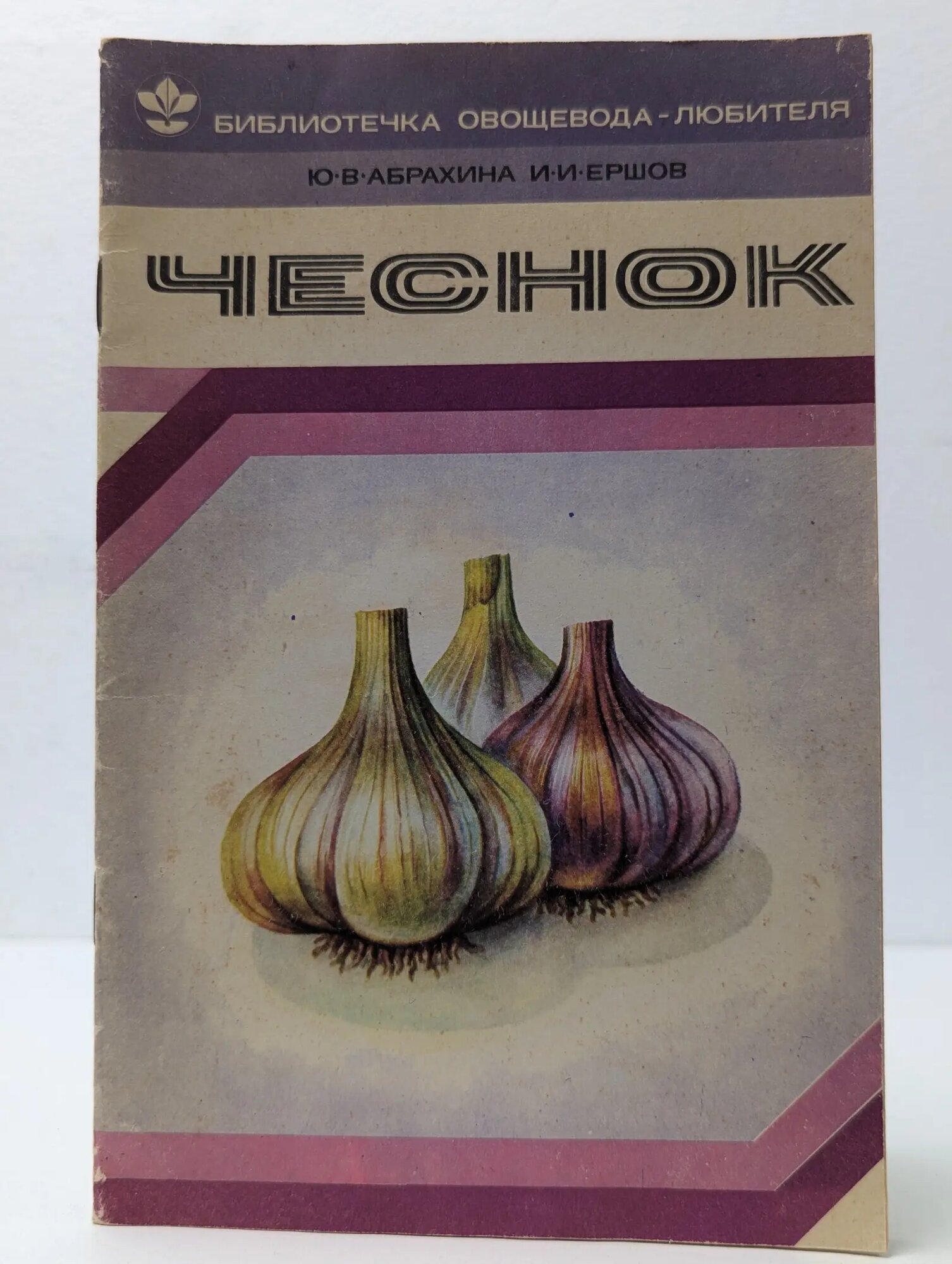 Чеснок Абрахина Юлия Васильевна, Ершов Иван Иванович 1981