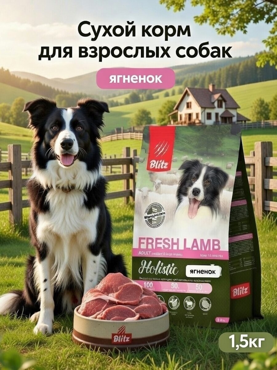Сухой корм  со свежим ягненком Blitz Holistic Fresh Lamb для взрослых собак средних и крупных пород 1,5 кг