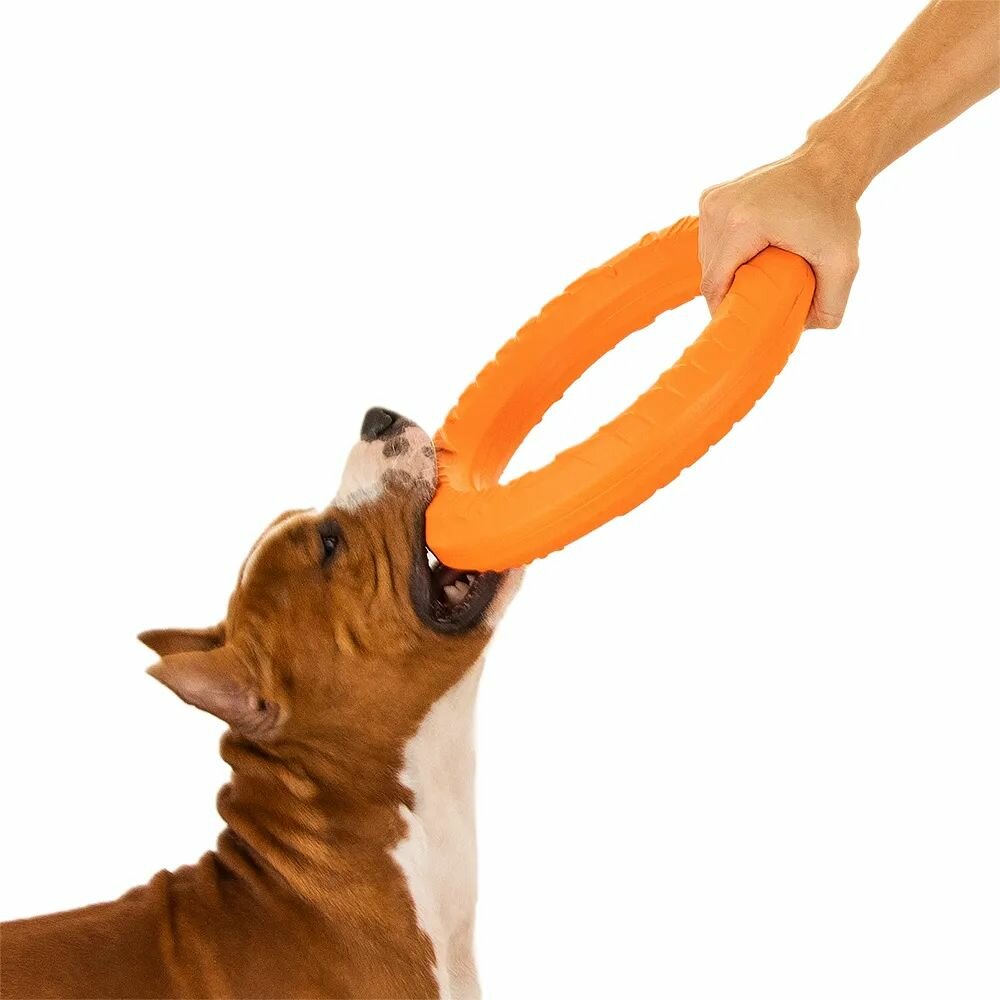 Кольцо для дрессировки собак "Tug & Twist DL", большое, цвет: оранжевый
