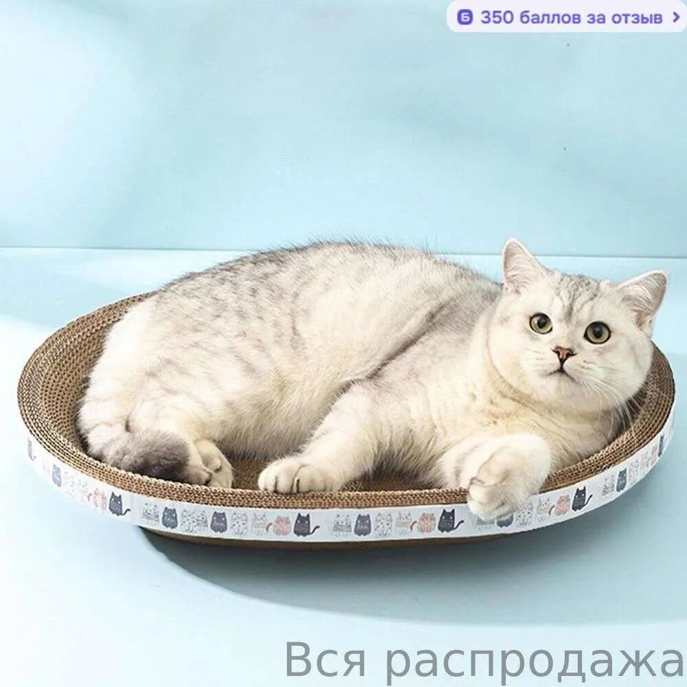 Гнездо для животных — фото 1