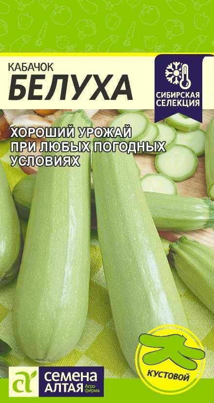 Семена Кабачок Белуха/Семена Алтая/цп 2 гр. Сибирская Селекция! кабачка белуха сибирской селекции