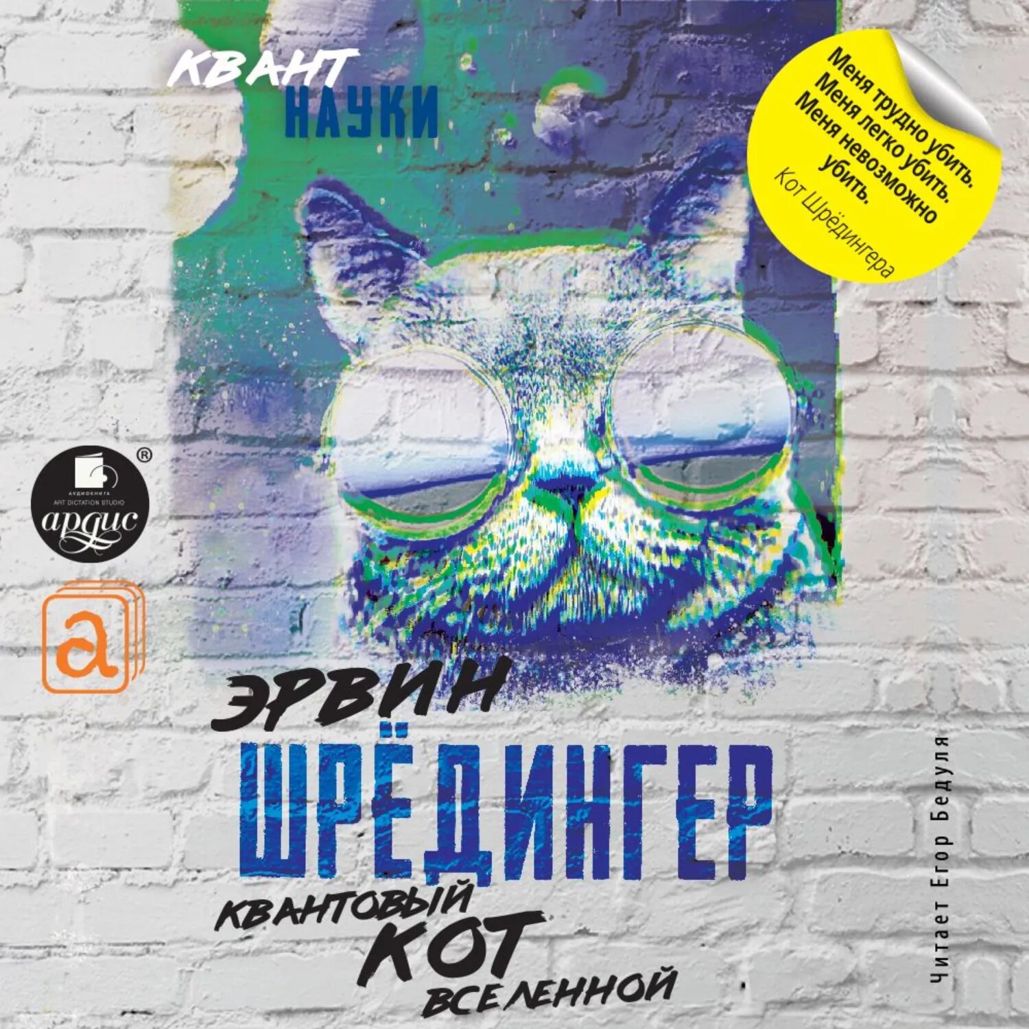 Квантовый кот вселенной [Аудиокнига]