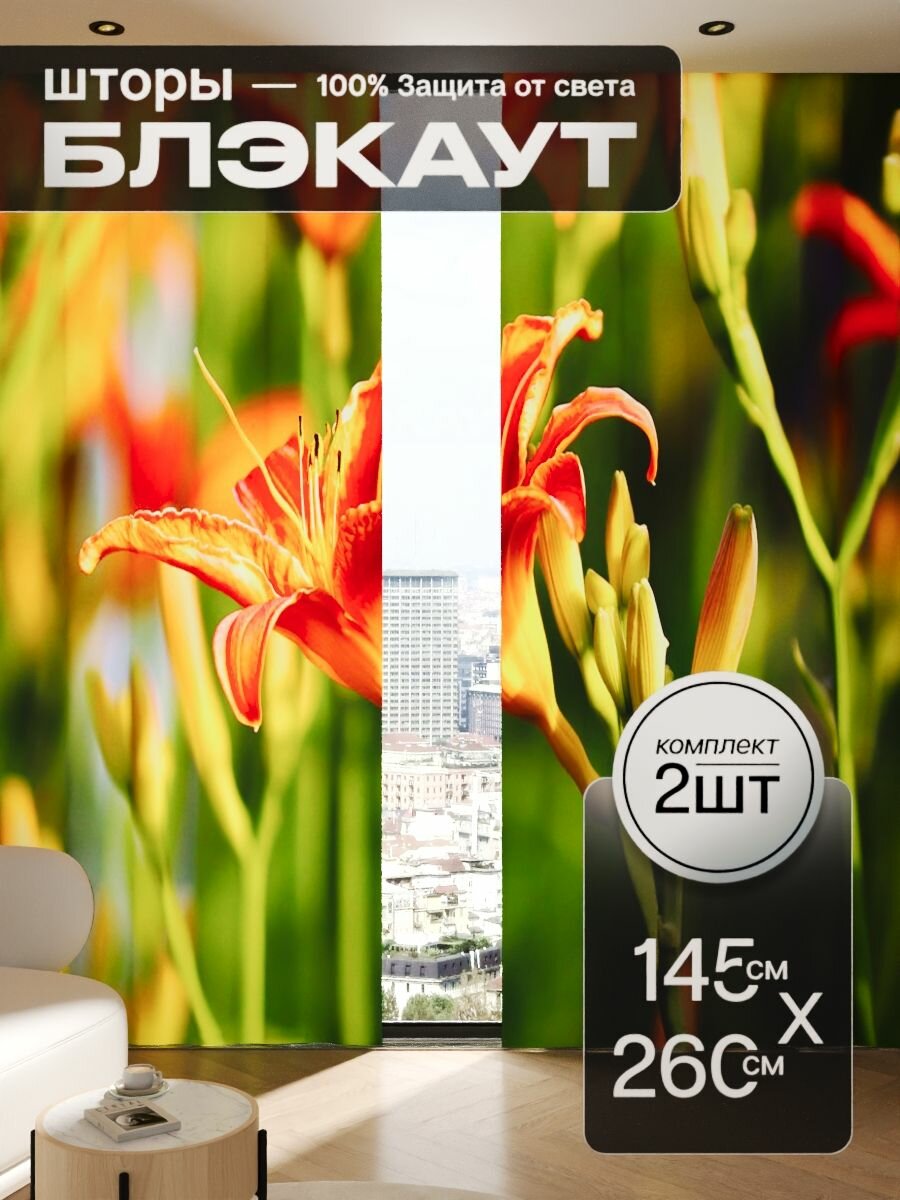 Шторы блэкаут 145x260 см 2 шт на окна плотные комплект