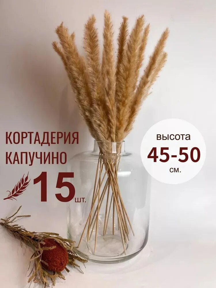 Сухоцветы Камышовая трава, 50 см, 70 гр, 15 шт
