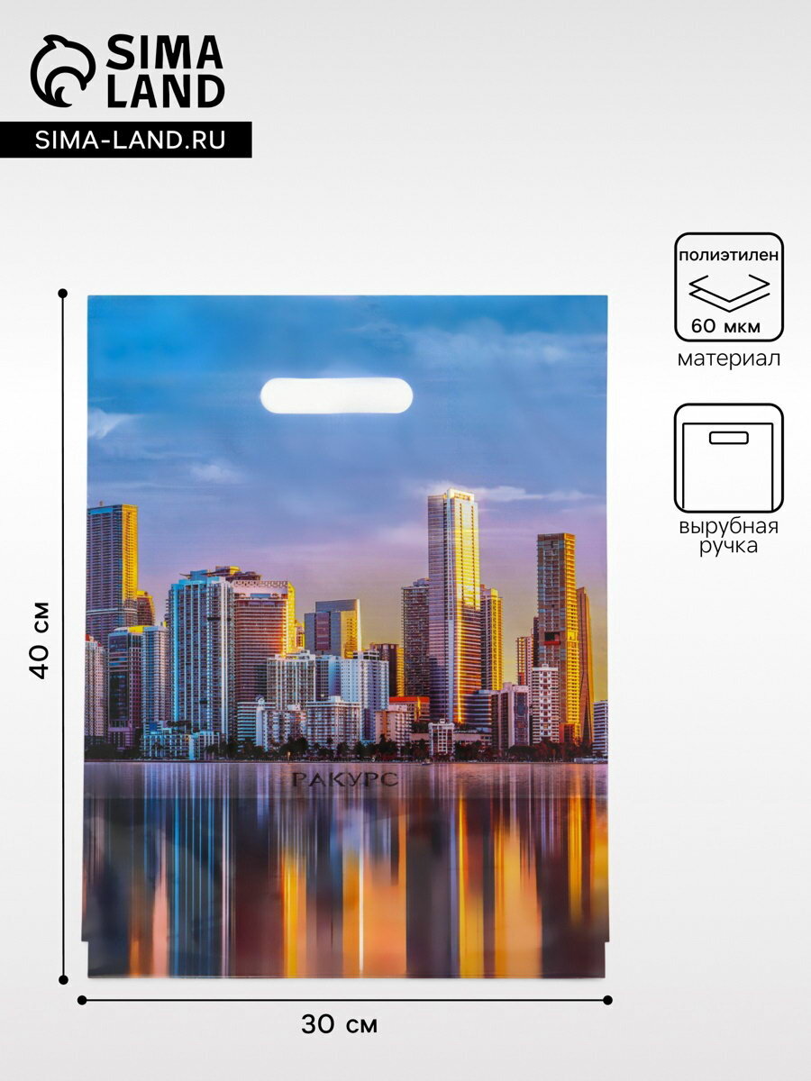 Пакет "Ракурс", полиэтиленовый с вырубной ручкой, 30x40 см, 60 мкм 10371009, 50 шт.