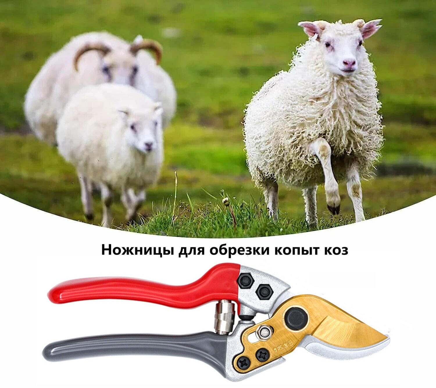 Ножницы для обрезки копыт коз, овец, МРС