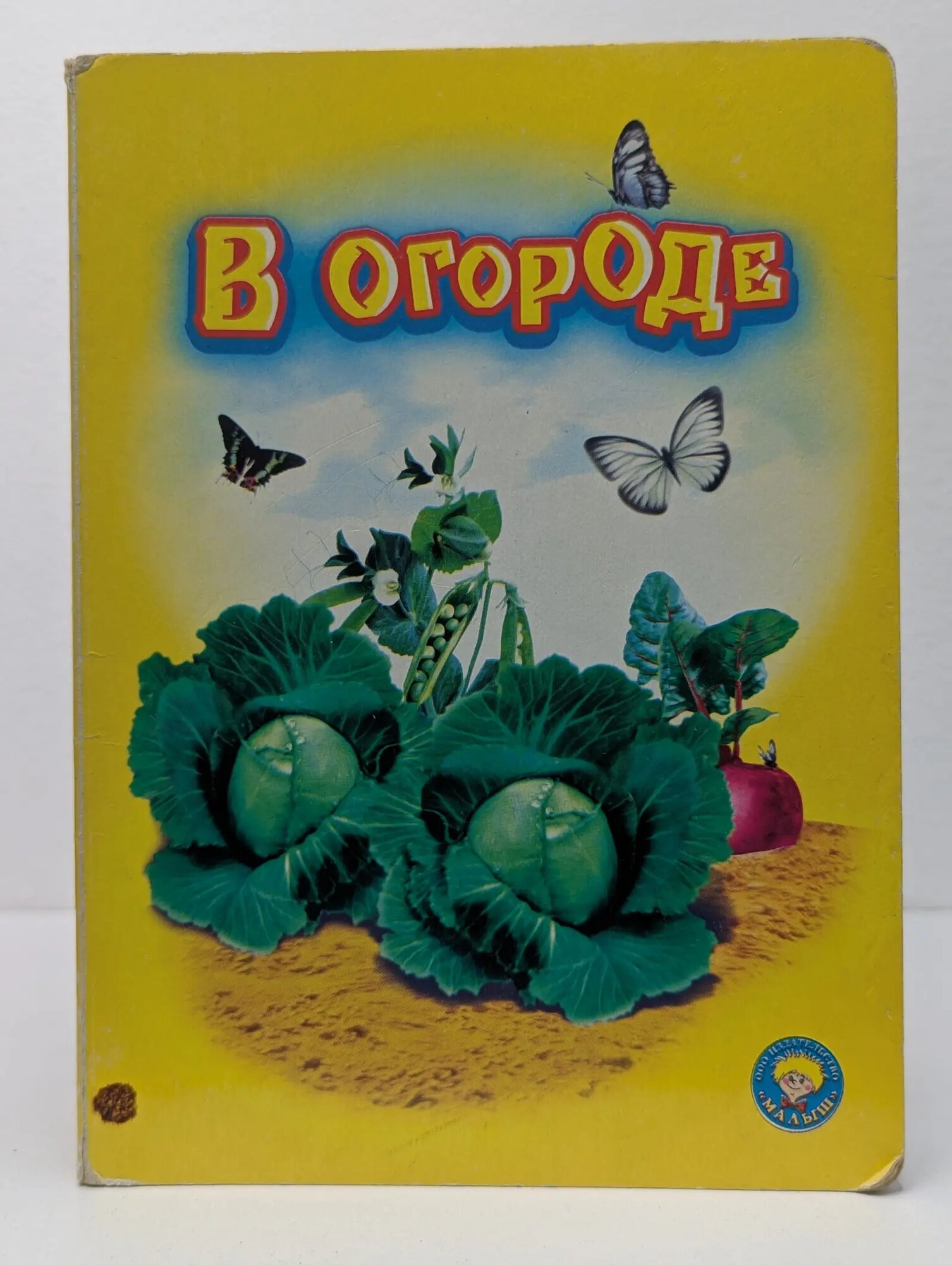 В огороде Мигунова Наталья Алексеевна 2004