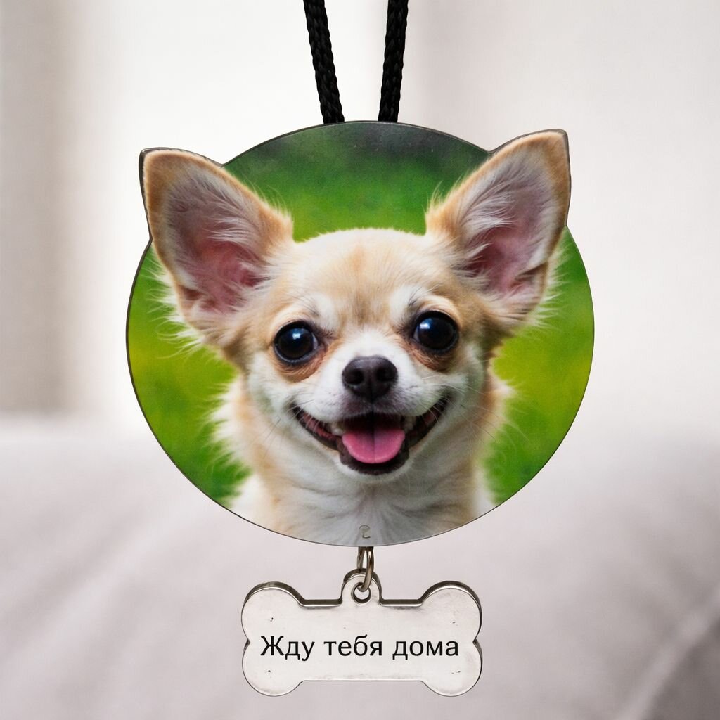 Ароматизатор в машину многоразовый чихуа REDOLENCE STORE